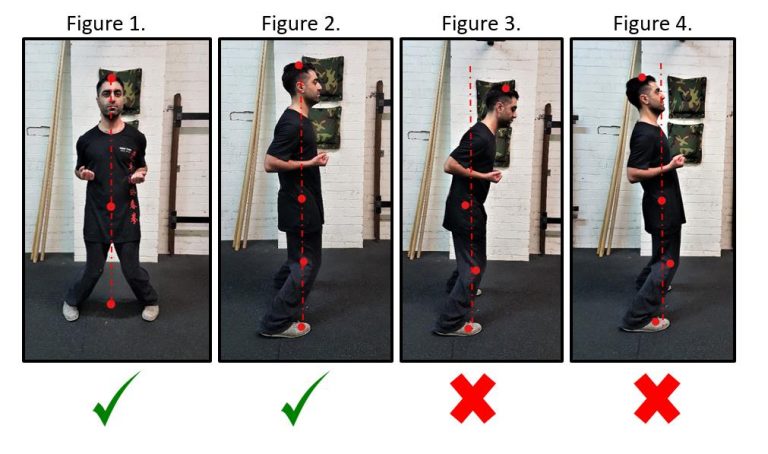 Structure of The Wing Chun Stance – Derek Fung Wing Chun 馮平波詠春拳澳洲悉尼